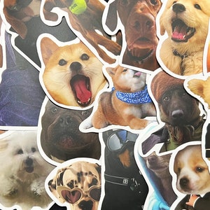 50 Dog Meme Stickers Doggo Faces Funny Dogs - Etsy