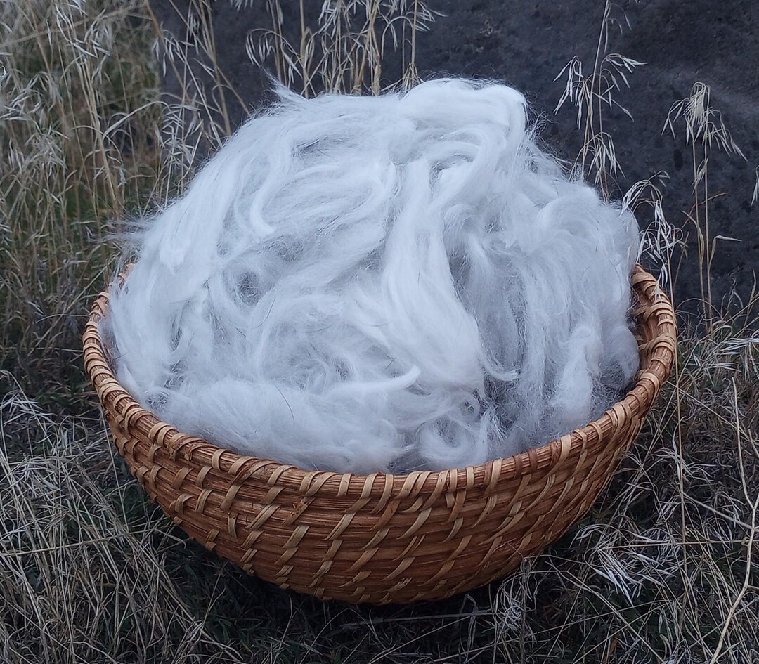 Pure Giant Angora Rabbit Fiber, Minimum 2.5-3 Inch Staple Length, Gray ...
