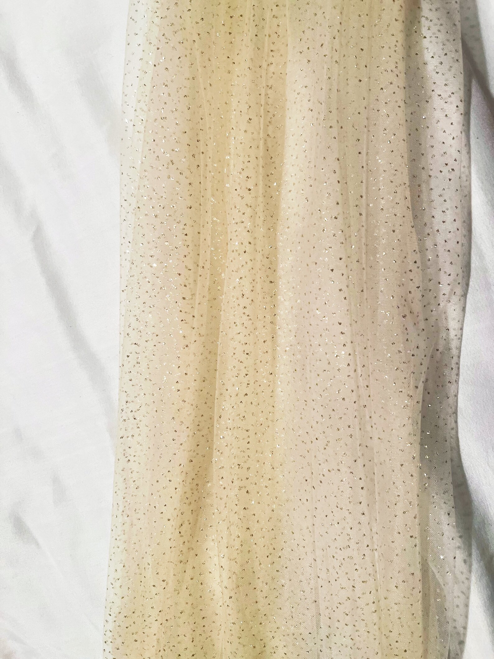 Simple Glitter Wedding Veil, One Layer Sparkly Bridal Veil, White ...