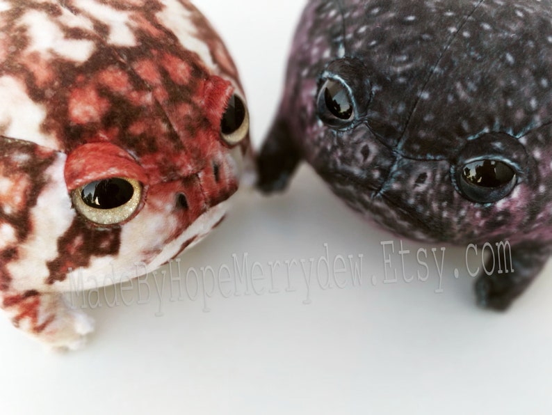 NEW Rain Frogs Grumpy Frog Mini Plushie Stuffed Animals - Etsy