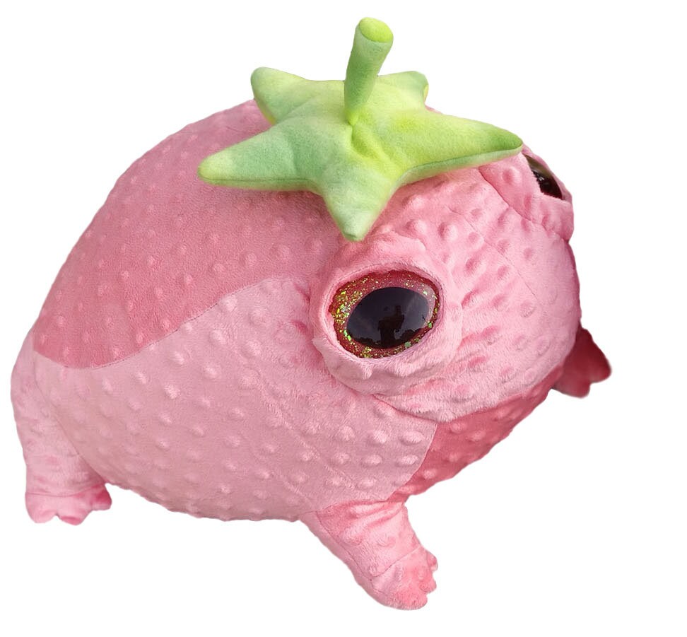 Strawberry Frog Sewing Pattern and Instructions READ - Etsy