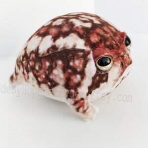 NEW Rain Frogs Grumpy Frog Mini Plushie Stuffed Animals - Etsy