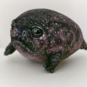 NEW Rain Frogs Grumpy Frog Mini Plushie Stuffed Animals - Etsy
