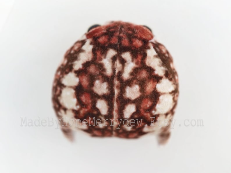 NEW Rain Frogs Grumpy Frog Mini Plushie Stuffed Animals - Etsy