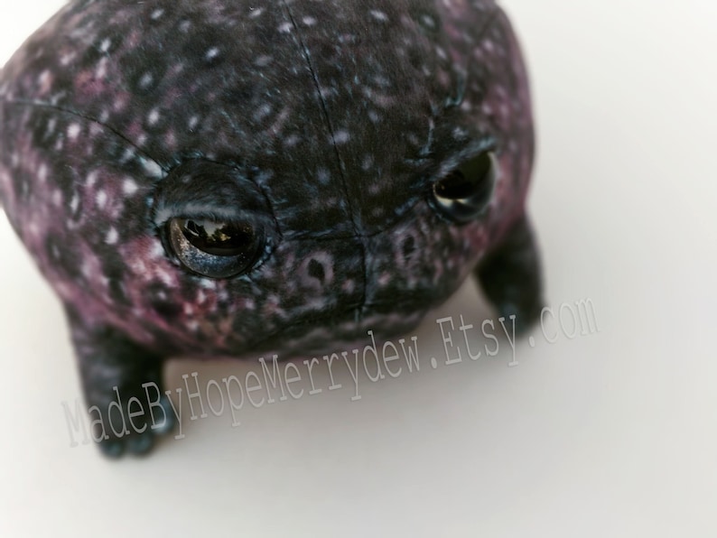 NEW Rain Frogs Grumpy Frog Mini Plushie Stuffed Animals - Etsy