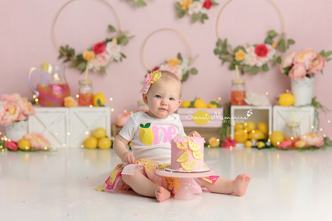 Pink Lemonade Photography Backdrop - Stand, Summer Time, Lemons, Floral ...