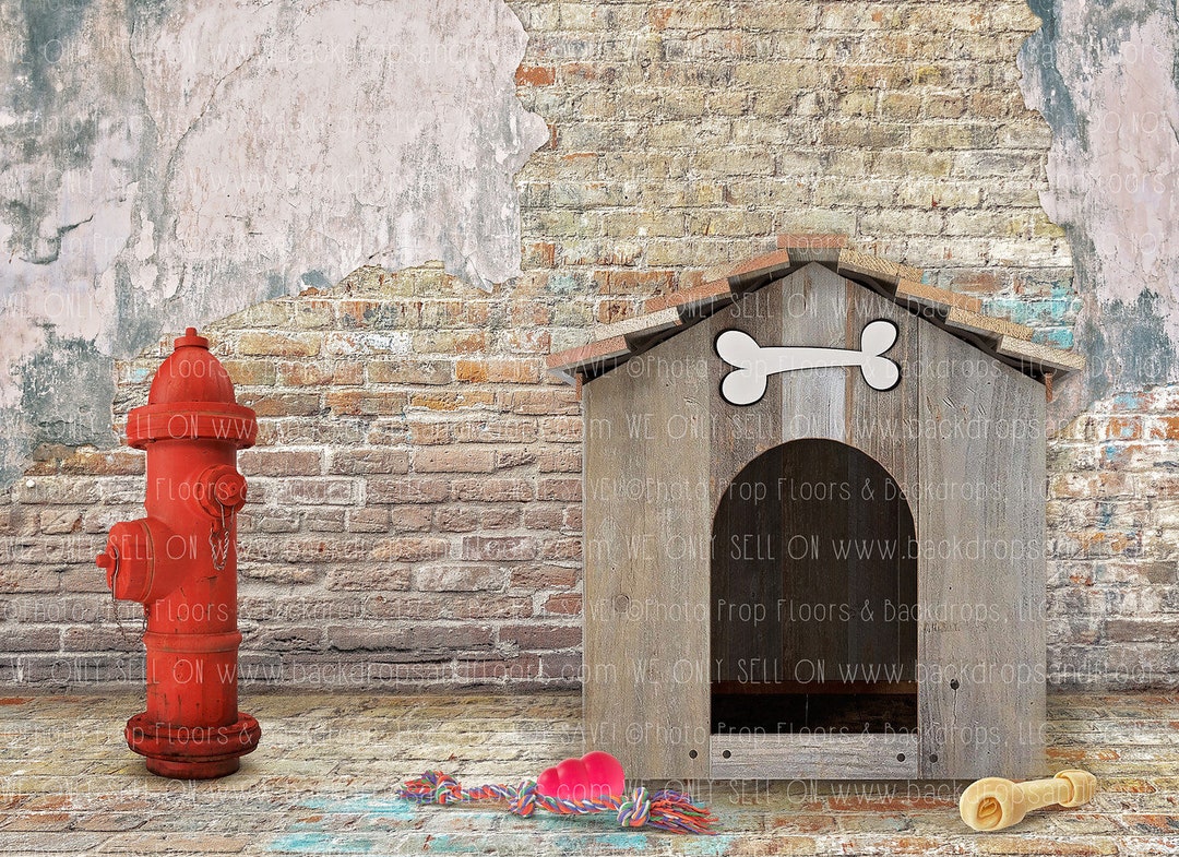 Dog House, Fire Hydrant Pet Photography Backdrop - Bones, Doggie, Toys ...