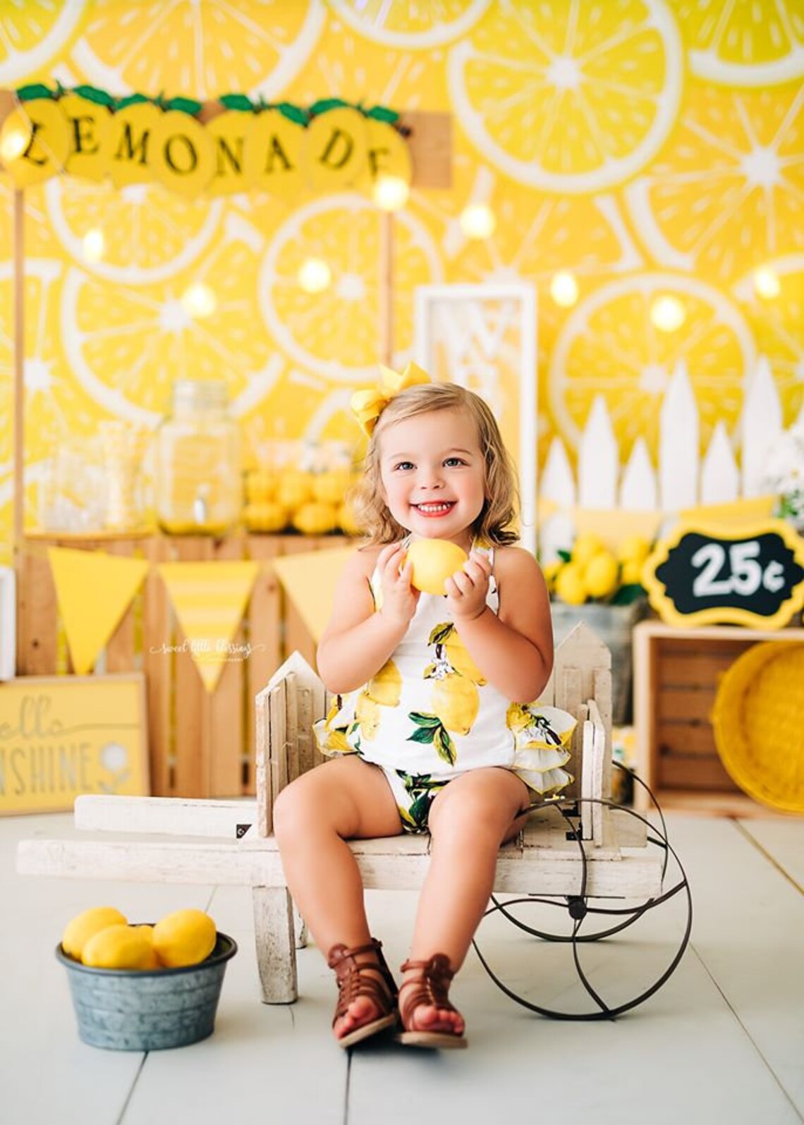 Lemonade Stand Photography Backdrop Summer Time Lemon Etsy