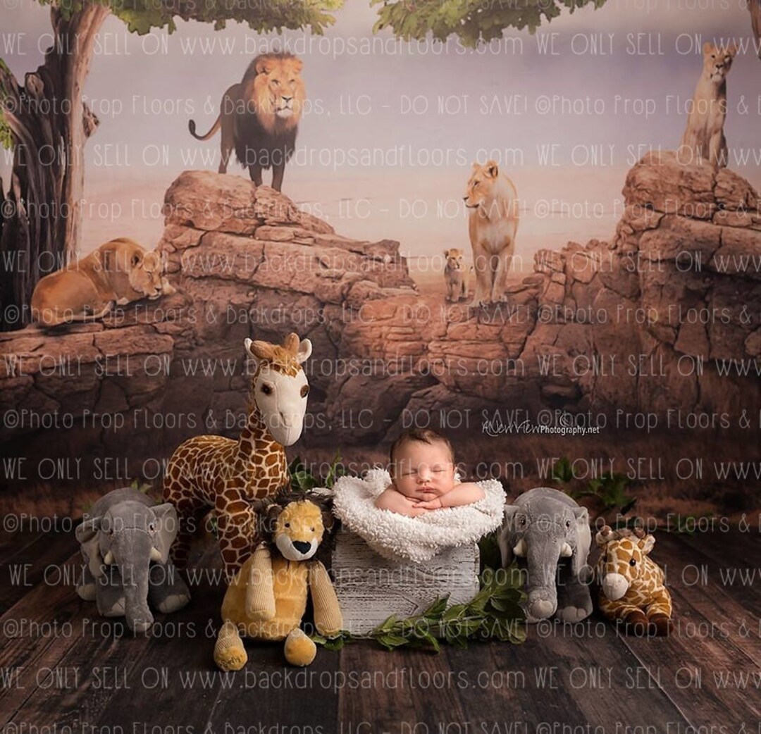 Brave Lions Photography Backdrop - King of the Jungle, Animals, Pride ...