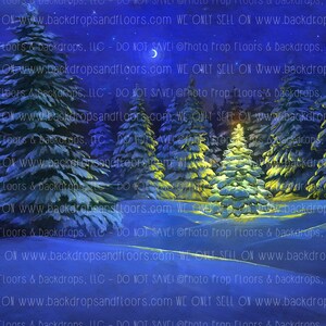 Snowy Winter Trees Photography Backdrop - Night Forest, Woods, Outdoors ...