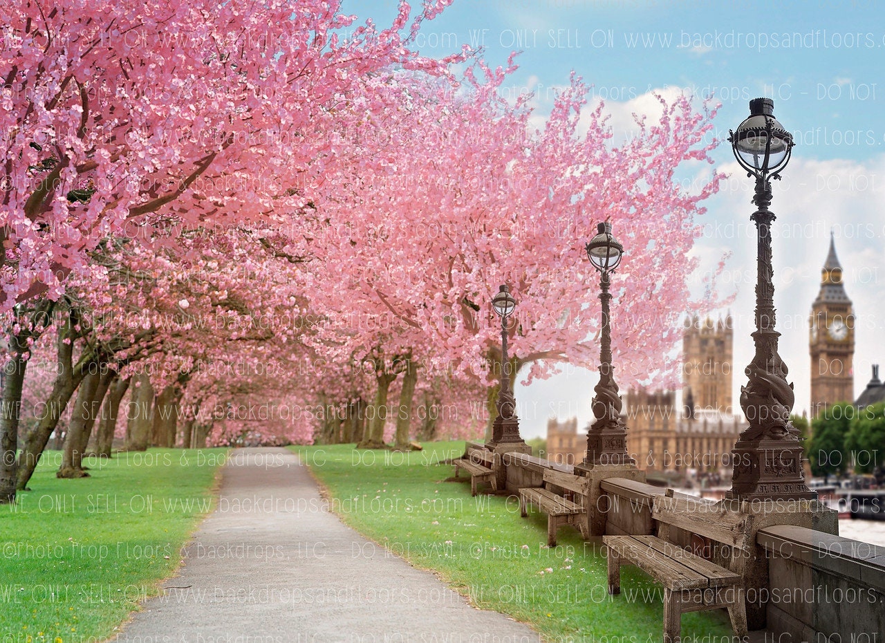 Mary Poppins In The Park