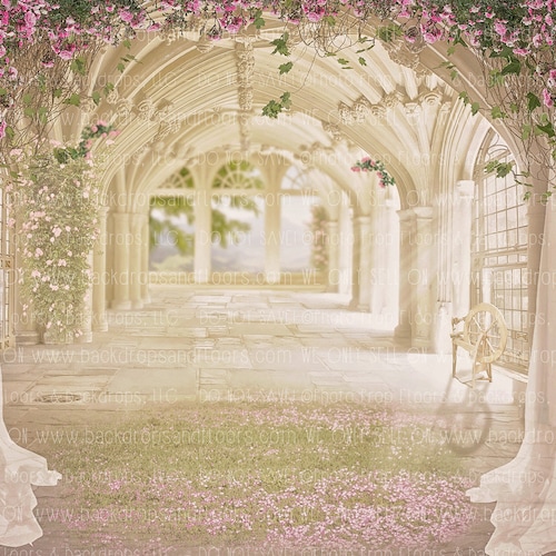 Princess Carriage Photography Backdrop Cinderella - Etsy