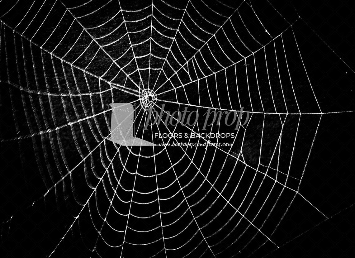 Spider Web Photography Backdrop Halloween Black Holiday - Etsy