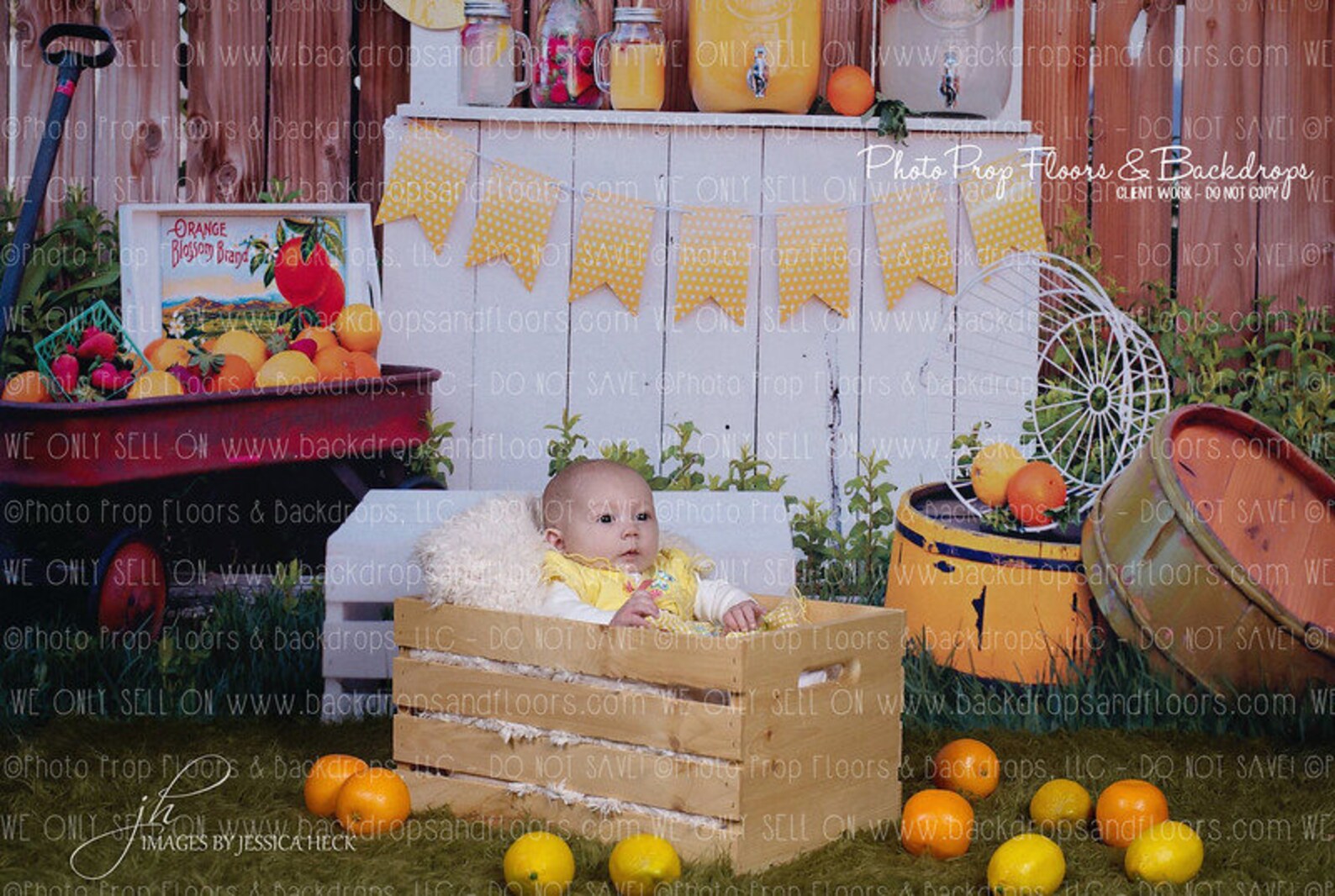 Lemonade Stand Photography Backdrop Summer Time Lemon Etsy