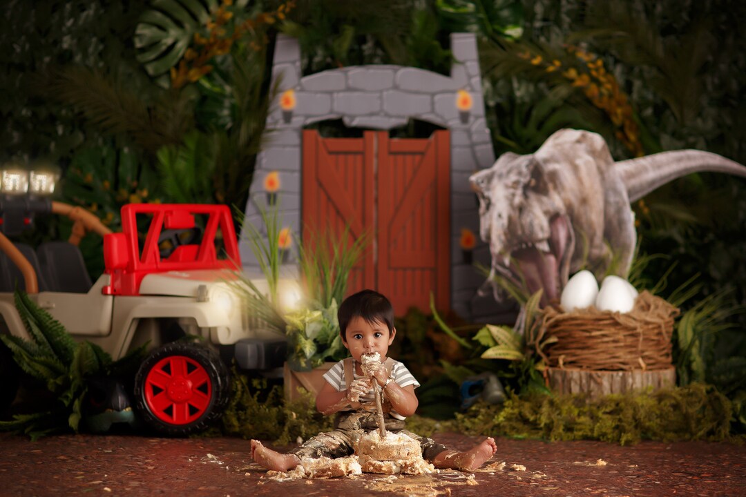 Dinosaur Photography Backdrop - T Rex, Jungle, Stegosaurus, Period ...