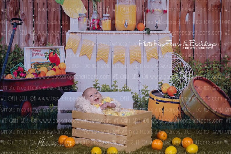 Lemonade Stand Photography Backdrop Summer Time Lemon Etsy
