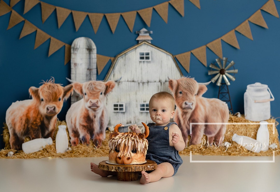 Blue Highland Cow Photography Backdrop - Cattle, Barn, Farm Animals ...