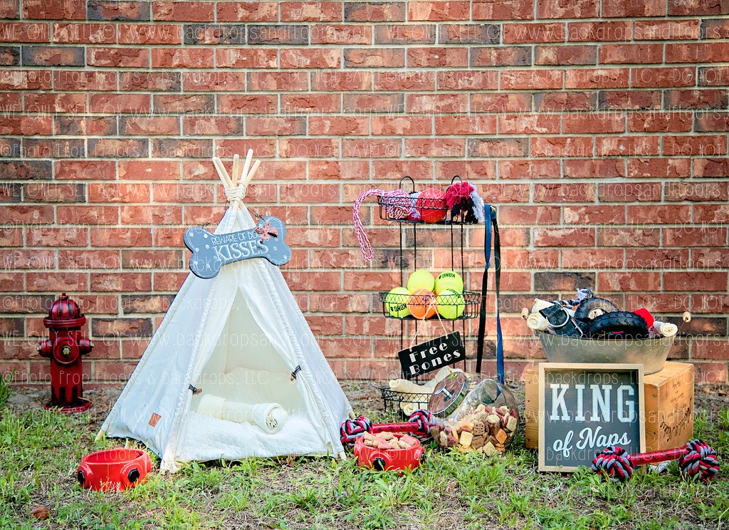 Pet Photography Backdrop Dogs Doggie Dog Puppy Pets | Etsy