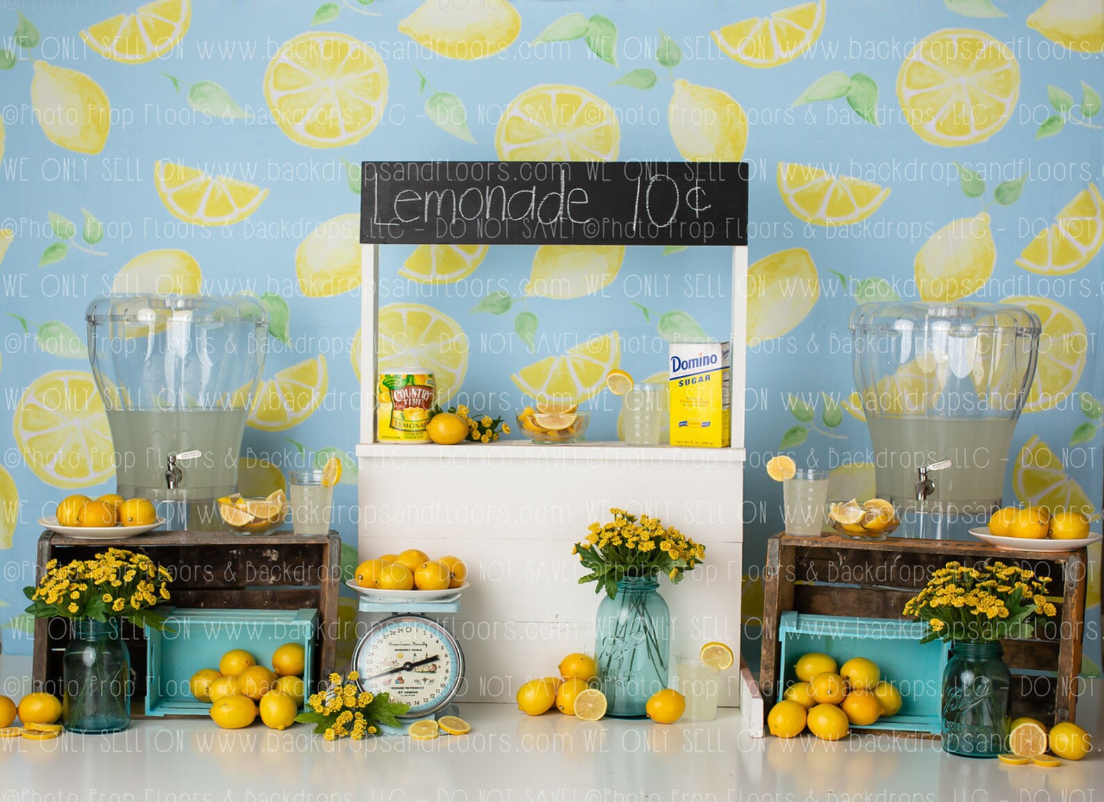 Lemonade Stand Photography Backdrop Summer Time Lemon Etsy