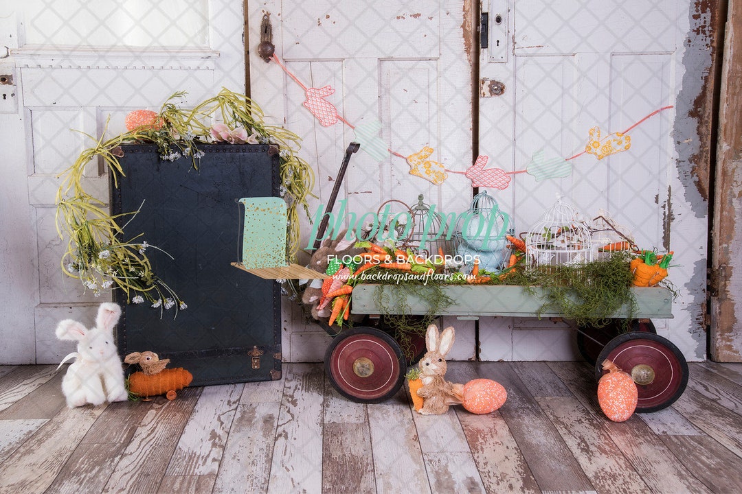 DIGITAL DOWNLOAD: Backdrop, Background, Bunnies, Bunny, Rabbit, Carrots ...