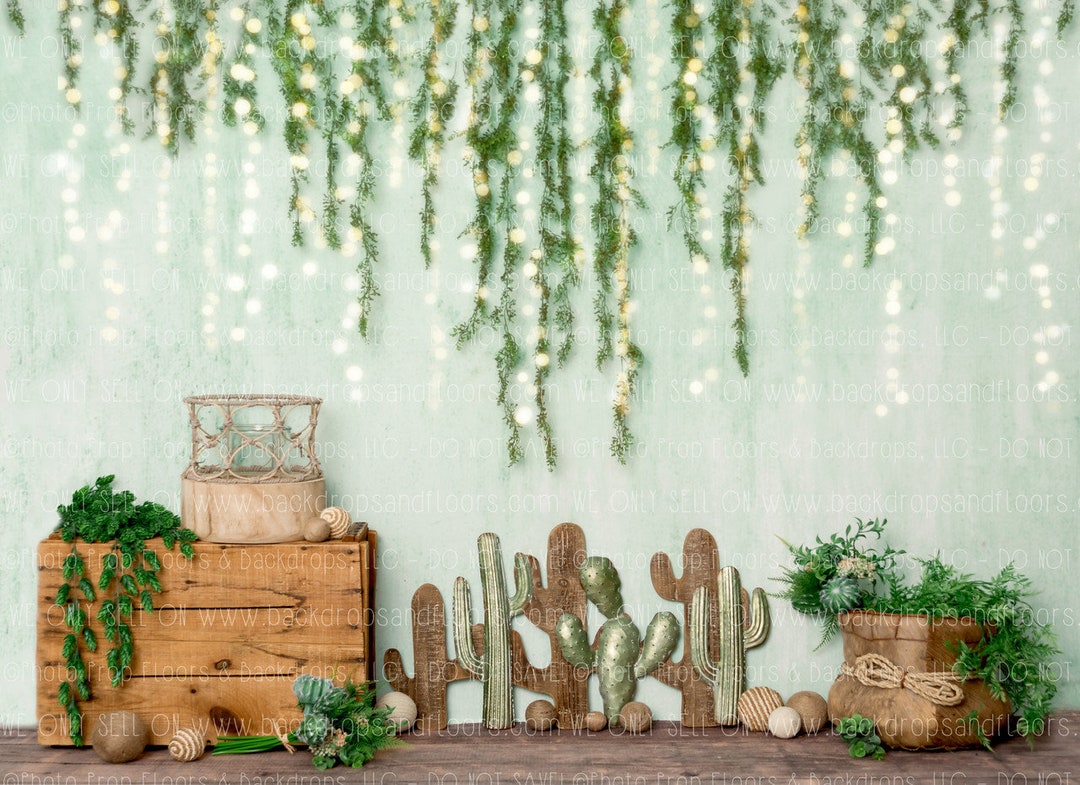 Cactus Photography Backdrop Succulent Plants Wooden Crates - Etsy
