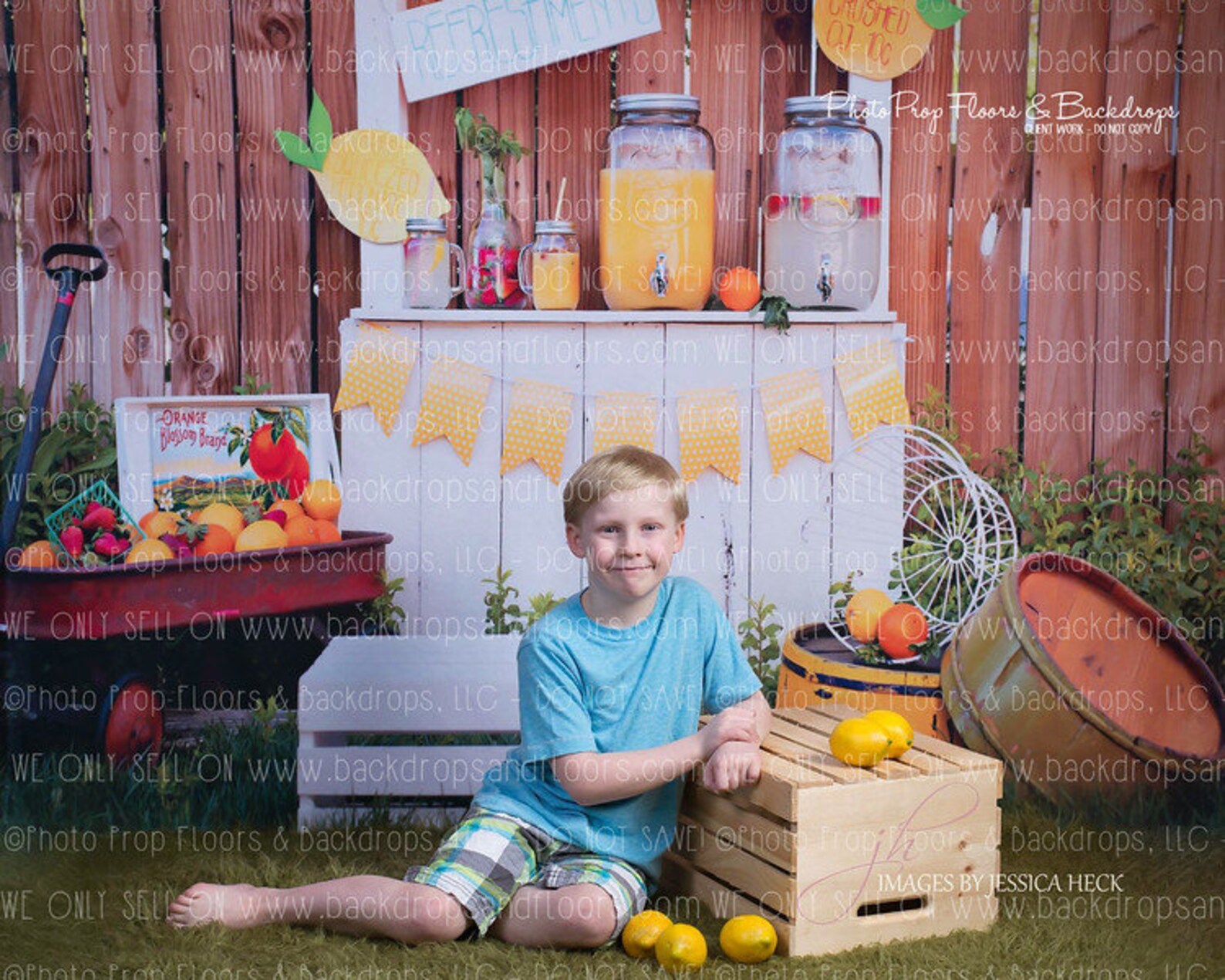 Lemonade Stand Photography Backdrop Summer Time Lemon Etsy