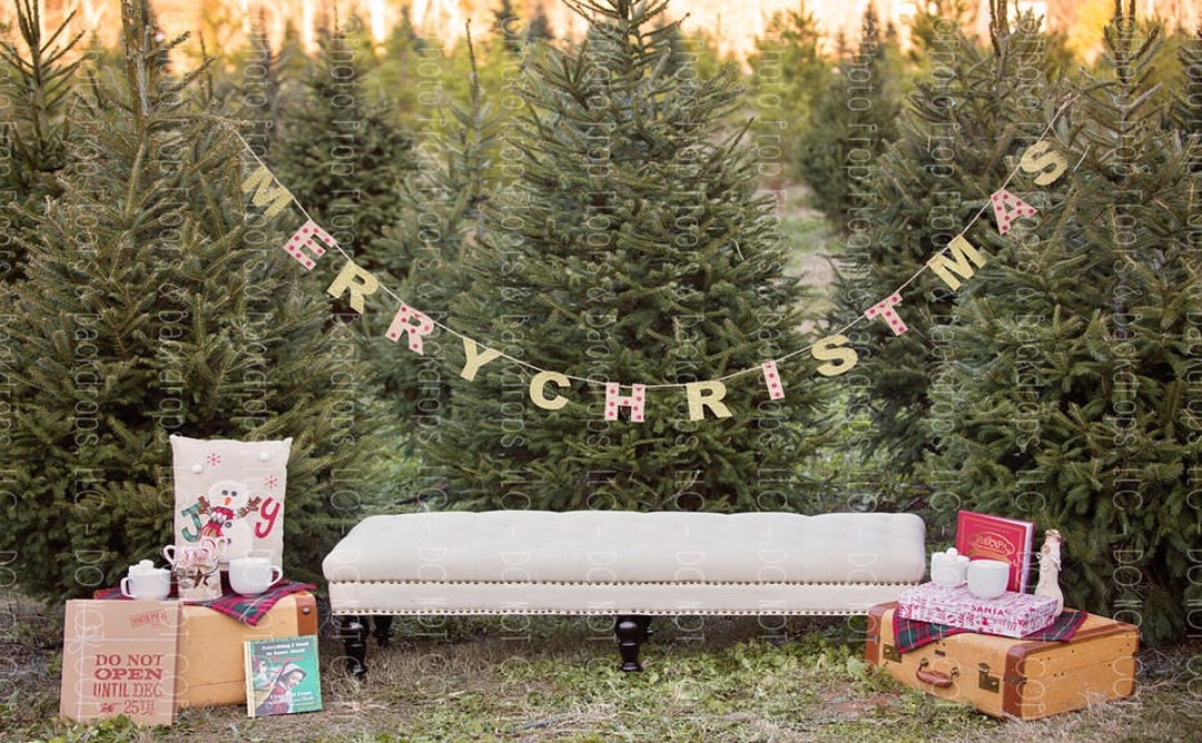Christmas Tree Farm Stand Photography Backdrop for Sale, Snow, Winter ...