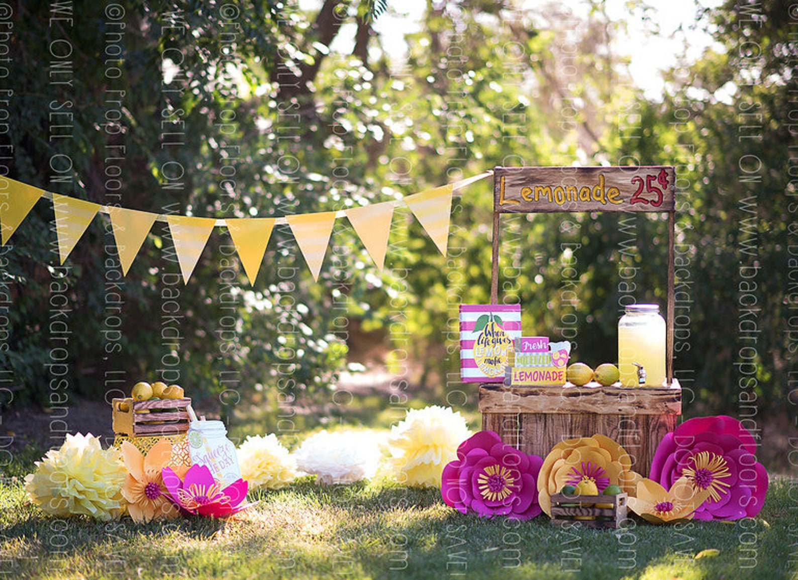 Lemonade Stand Photography Backdrop Summer Time Lemon Etsy