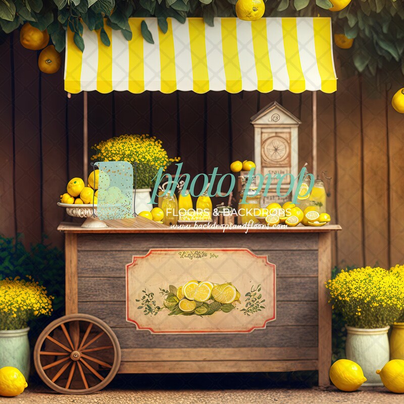 Lemon Backdrop - Etsy