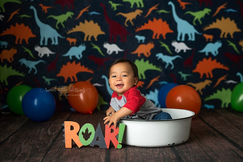 Dinosaur Photography Backdrop - T Rex, Jungle, Stegosaurus, Jurassic ...