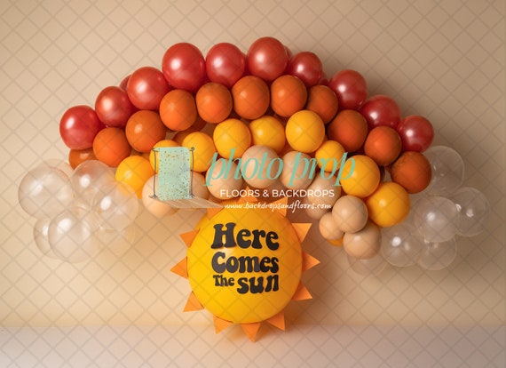 Sunshine Photography Backdrop Sunny Neutral Boho - Etsy