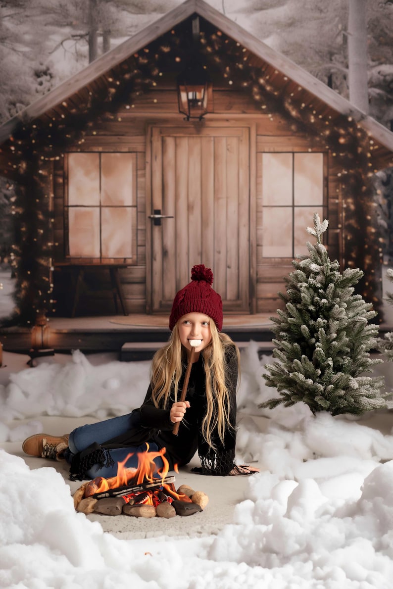 Rustic Winter Cabin Backdrop, Christmas Holiday Photography Background ...
