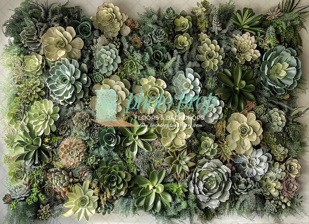 Succulent Wall Photography Backdrop - Garden, Gardener, Greenery ...
