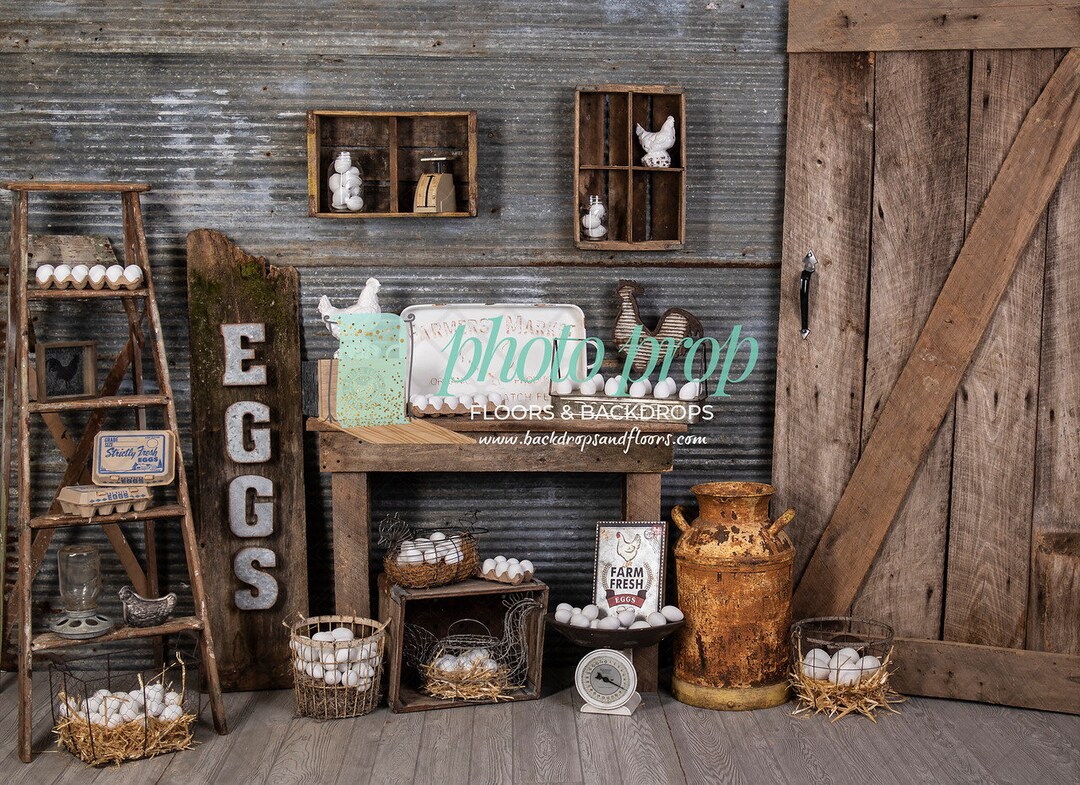 Farm Fresh Photography Backdrop - Eggs, Old Barn, Chickens, Spring, Hay ...