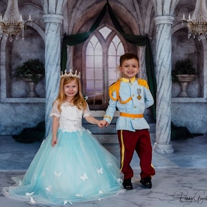 Castle Photography Backdrop - Princess, Columns, Archway, Cinderella ...