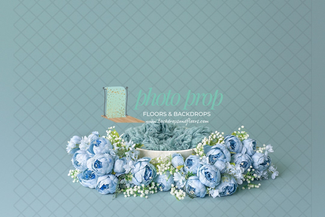 Newborn DIGITAL BACKDROP: Light Blue Peonies, Periwinkle, Flowers ...