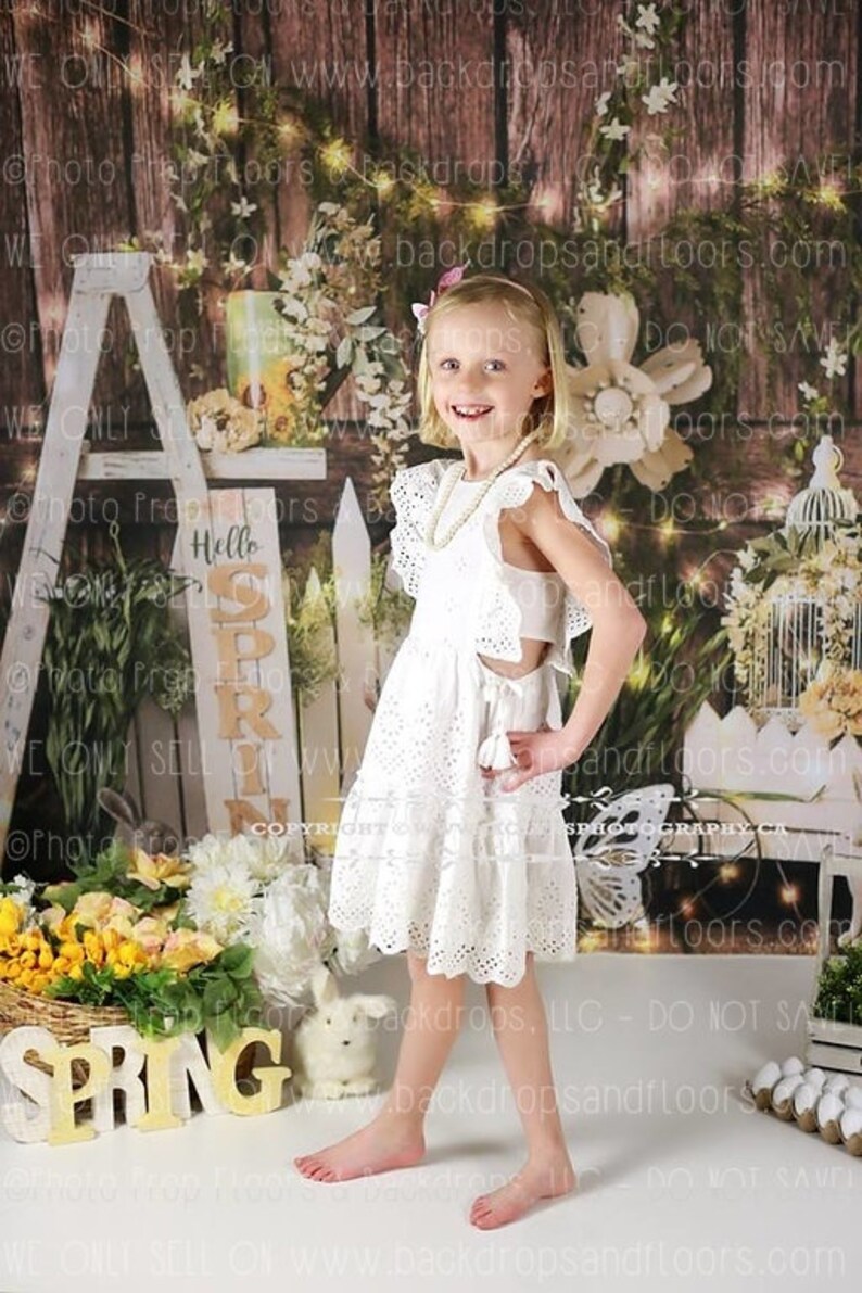 Rustic Spring Props Photography Backdrop, Dark Barn Wood, Bunnies ...