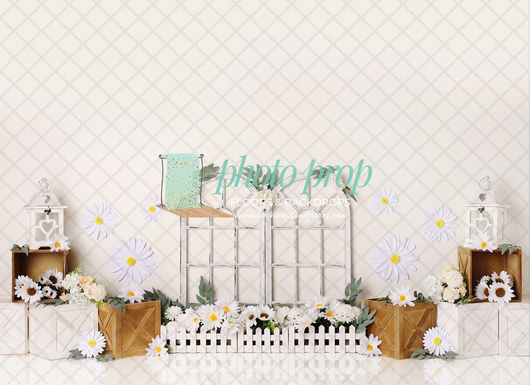 Daisy Flower Photography Backdrop - Garden, Windows, Daisies, Lantern ...