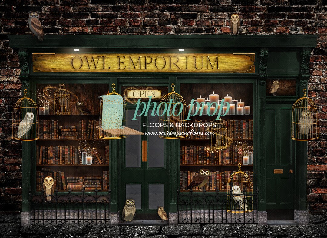 Wizard Shop Photography Backdrop Storefront, Owl Emporium, Books ...