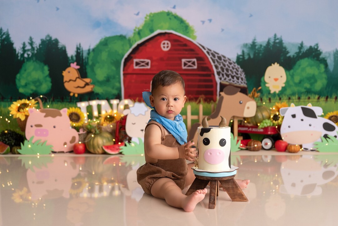Red Barn Photography Backdrop - Balloon Arch, Hay Bales, Wheelbarrow ...