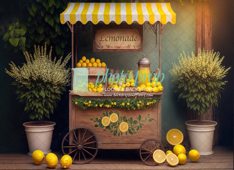 Rustic Lemonade Stand Photography Backdrop, Summer Cake Smash, Lemon ...