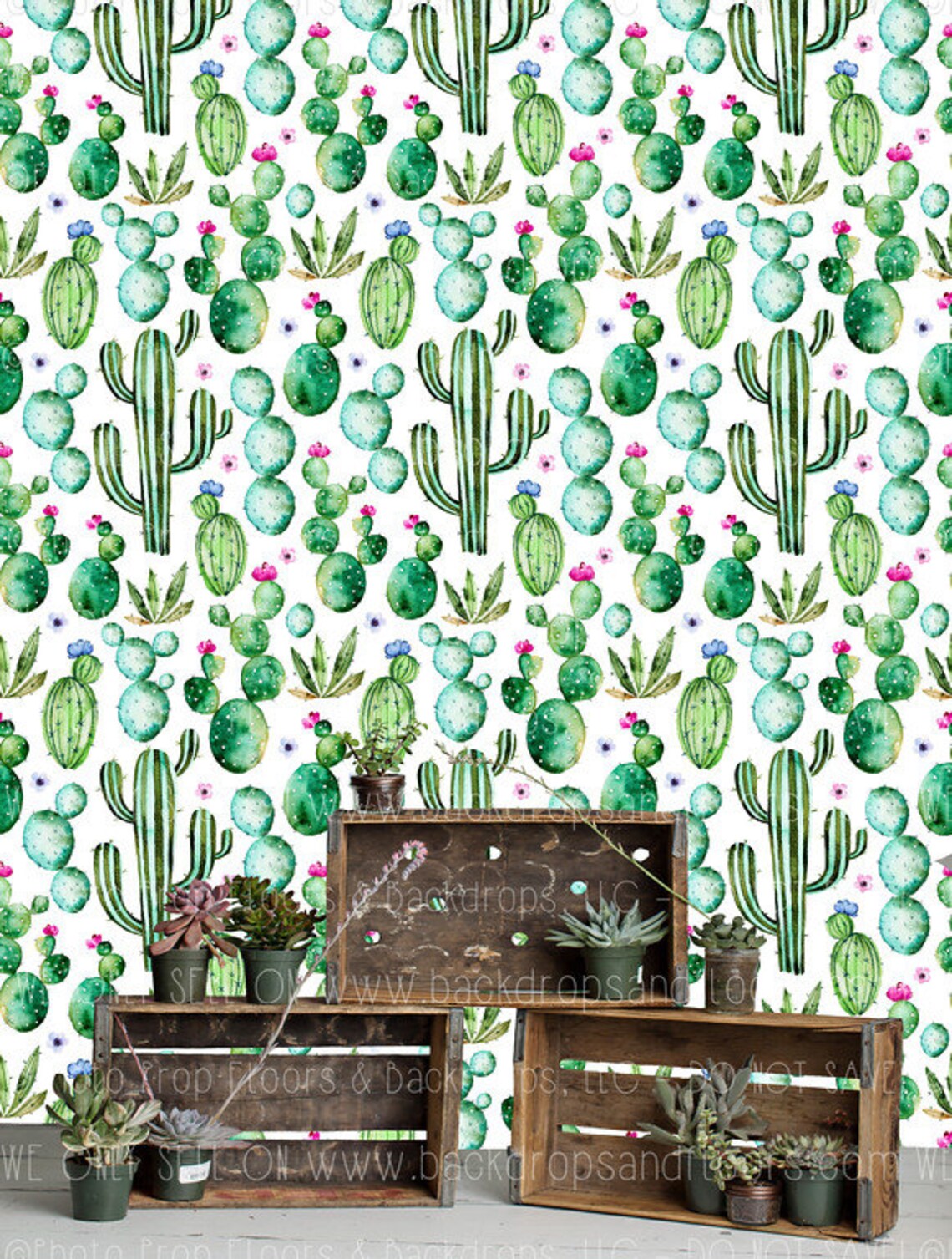 DIGITAL DOWNLOAD: Backdrop Background Cactus Southwest - Etsy