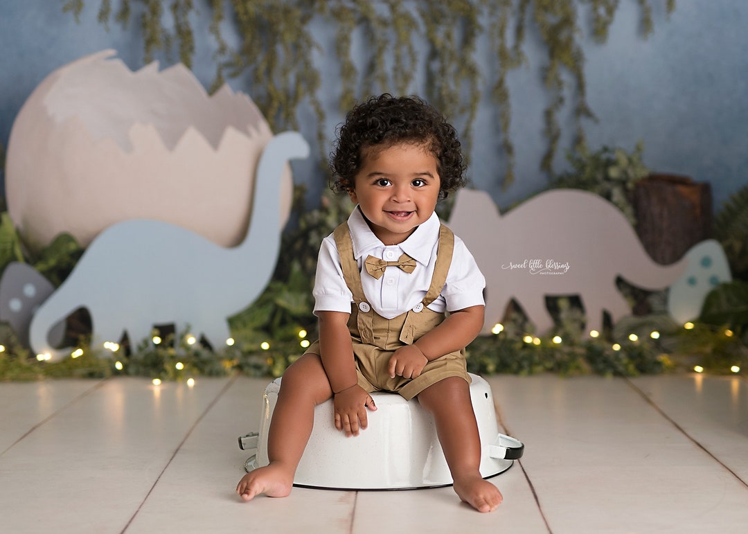 Light Blue Dinosaur Photography Backdrop - T Rex, Jungle, Stegosaurus ...