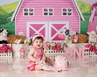 Pink Barn Photography Backdrop - Etsy