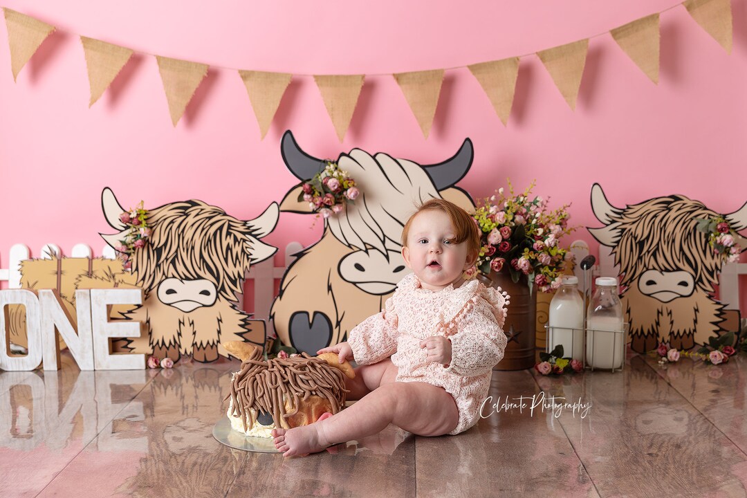 Pink Highland Cow Photography Backdrop - Cattle, Barn, Farm Animals ...