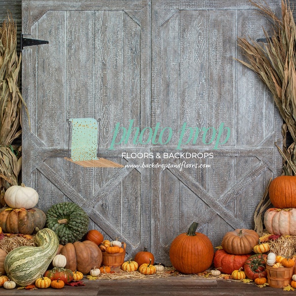 Barn Gourd - Etsy