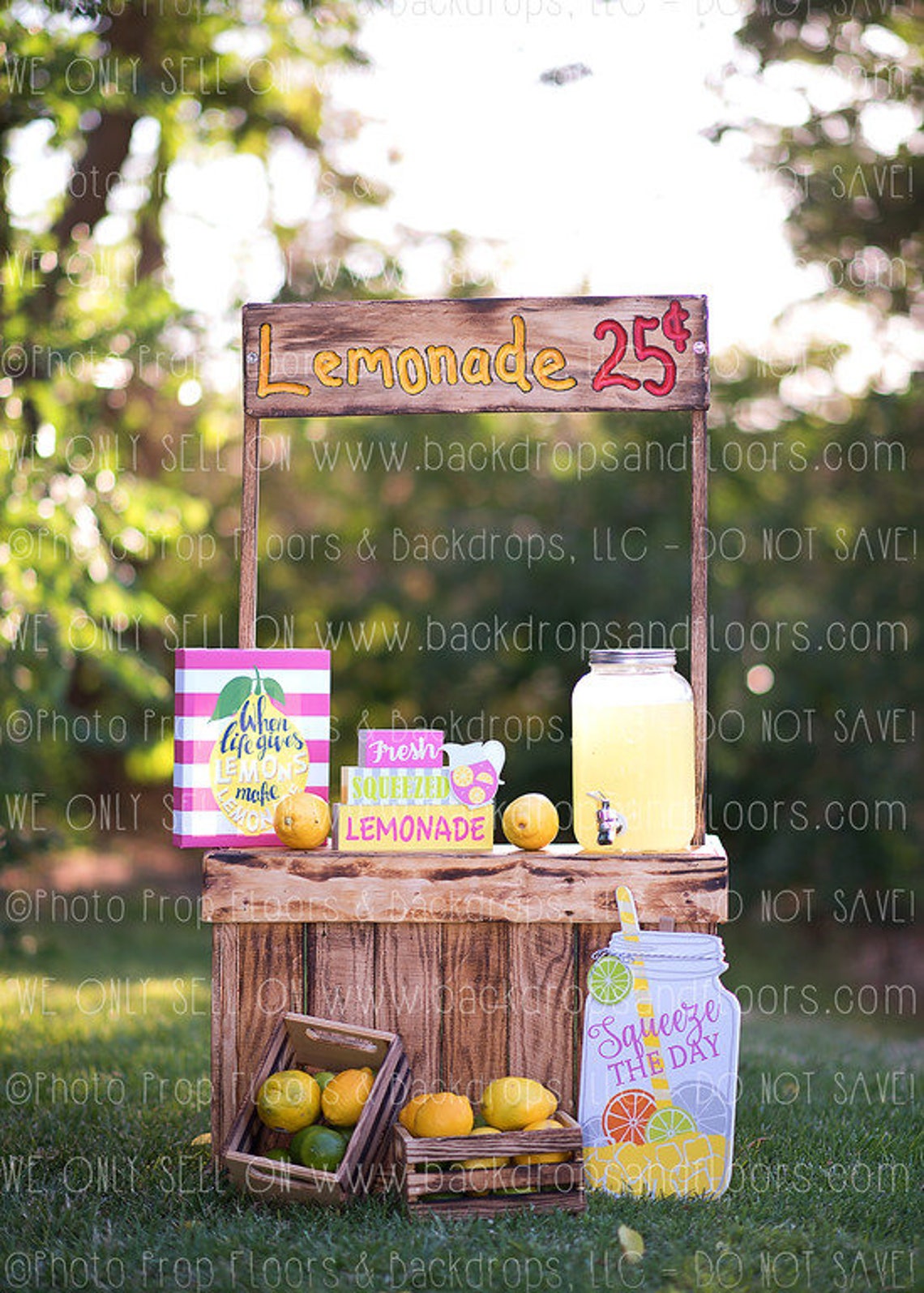 Lemonade Stand Photography Backdrop Summer Time Lemon Etsy
