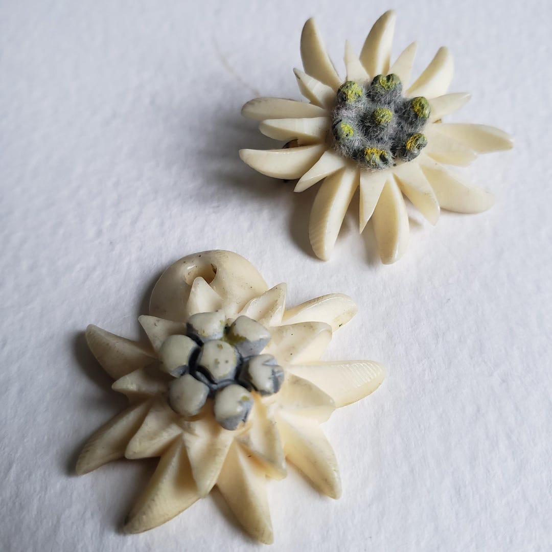 Vintage Alpine Edelweiss Flower Brooch & Pendant Carved Celluloid ...