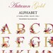 Fall Floral Alphabet Clipart: Burgundy, Gold (digital Download) - Etsy