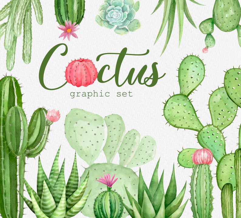 Cactus and Succulents Watercolor Clipart Greenery Flowers - Etsy